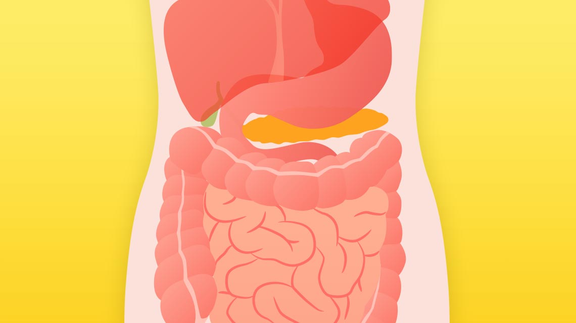 Digestive Topics A-Z – Glossary of Pediatric Digestive Disorders
