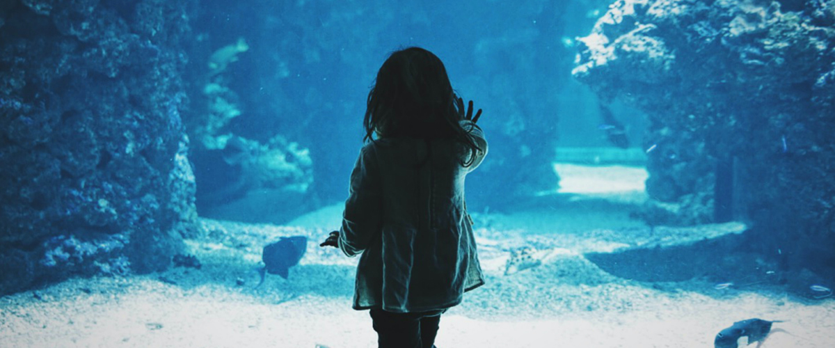 GiKids - Progressive Familial Intrahepatic Cholestasis (PFIC)